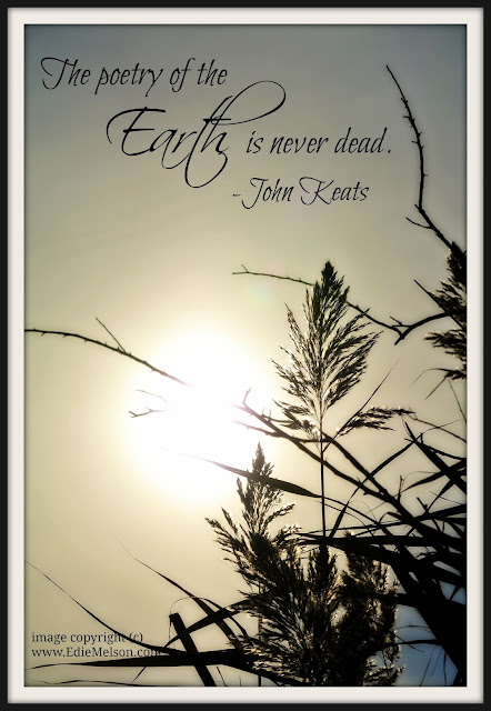 The Write Conversation: Poetry of the Earth