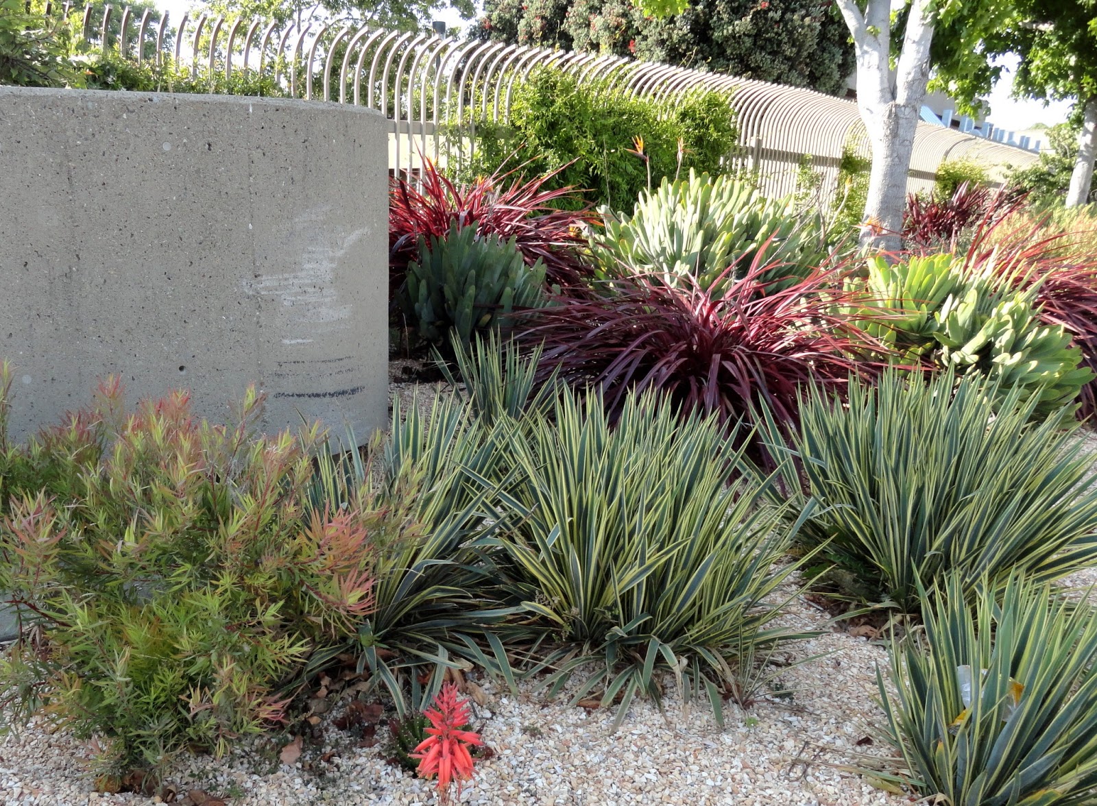 danger garden: Designing a garden to discourage night-time visitors…