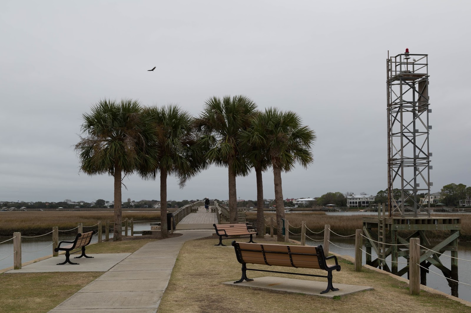 Charleston Daily Photo: Old Pitt St. bridge walking