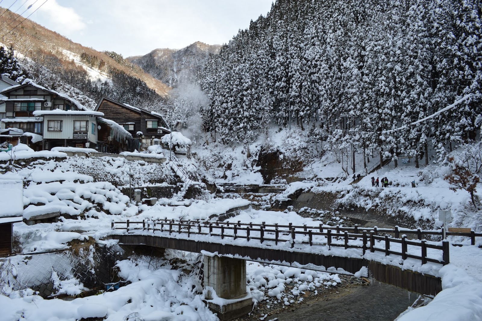 Christmas Break - Jigokudani Monkey Park ~ Jenna in Japan