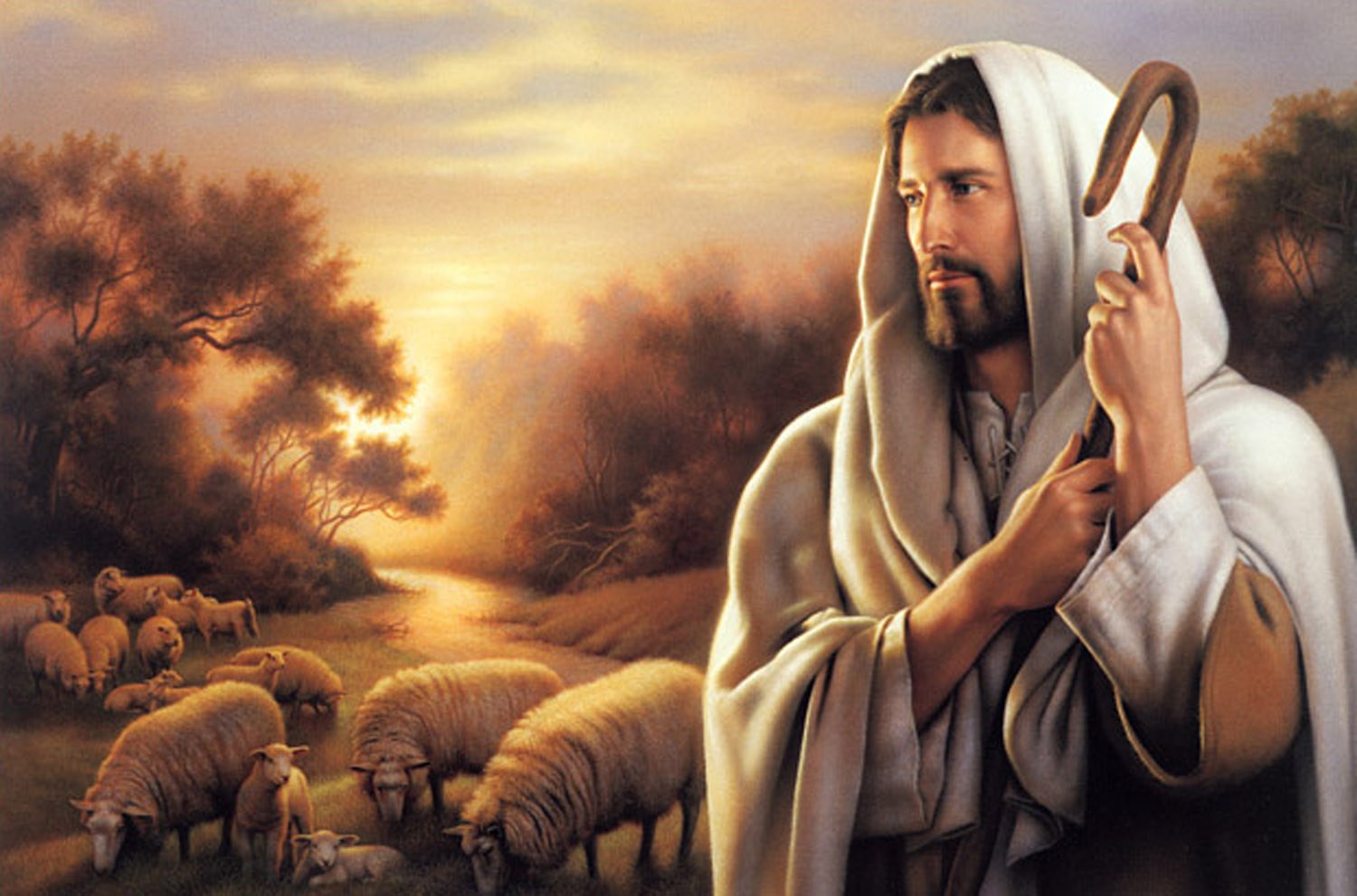 Homebrewed Theology Secondary Bible Themes 9 Flock Sheep Shepherd