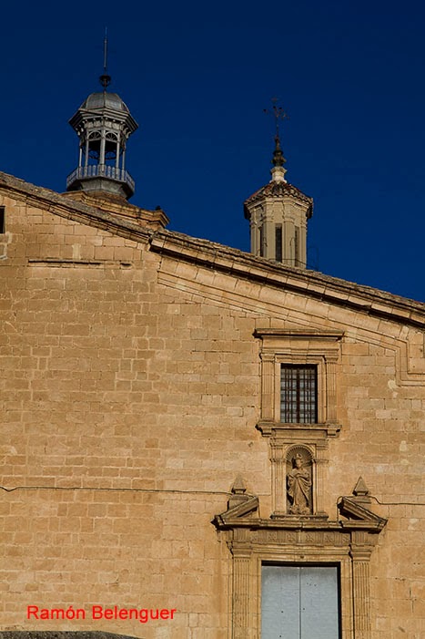 BICHOS Y MAS VLC: DE PASEO POR ONTENIENTE (I)