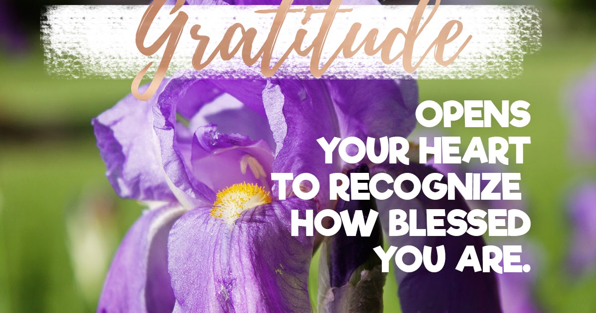 Feeling grateful is a joyful place to be! | Moments of words