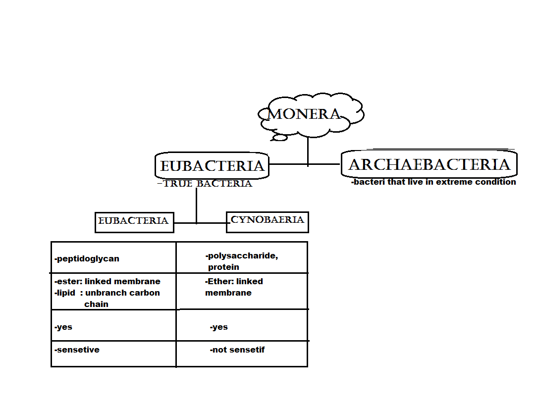 BIO-MATRICULATION: Biodiversity:kindom monera