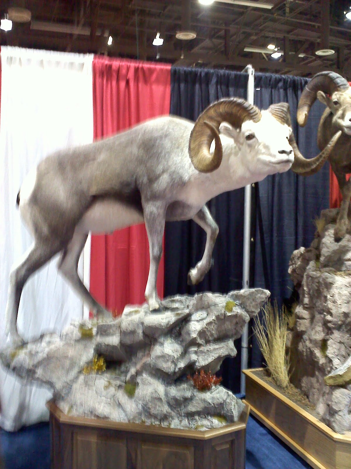 High Desert Outfitters: WSF Convention / stone sheep mount