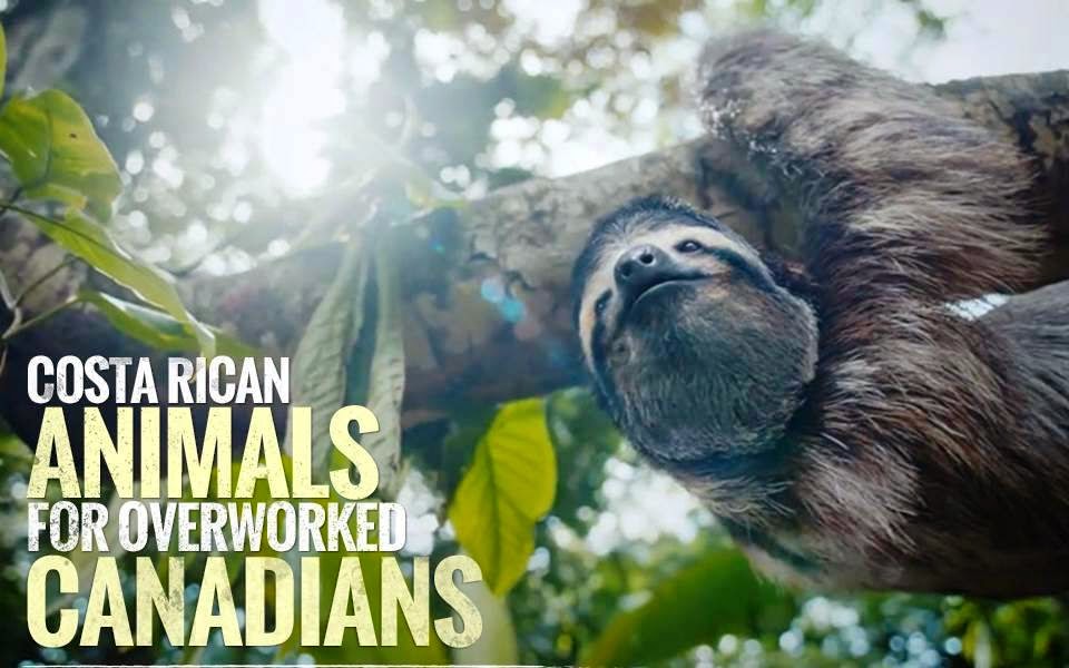 PeapodLife: “Save the Canadians” Campaign Launched: Rainforest Plants ...