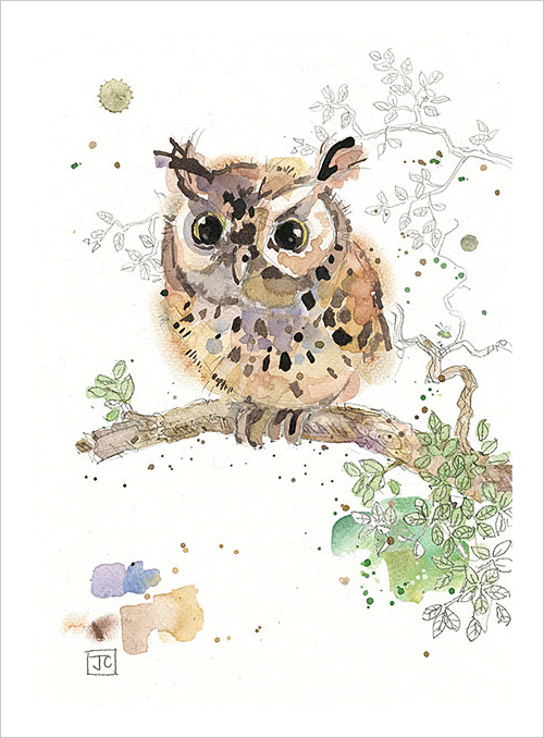 My Owl Barn: Bug Art Greeting Cards by Jane Crowther