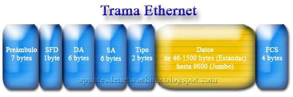 Apuntes de Networking: Formato de la trama ethernet