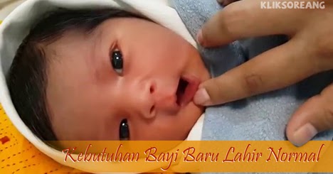 Kebutuhan Bayi Baru Lahir Normal - Klik Soreang