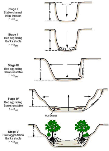 Learning Geology: Nonmarine Depositional Systems
