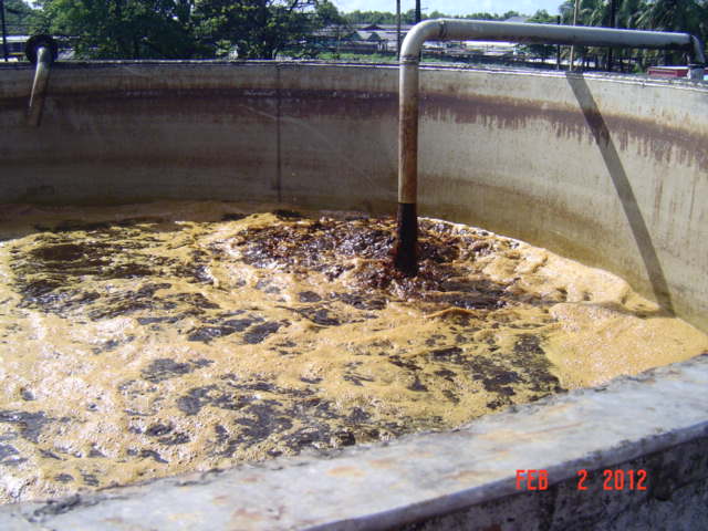 GT Observer: DDL Factory Tour