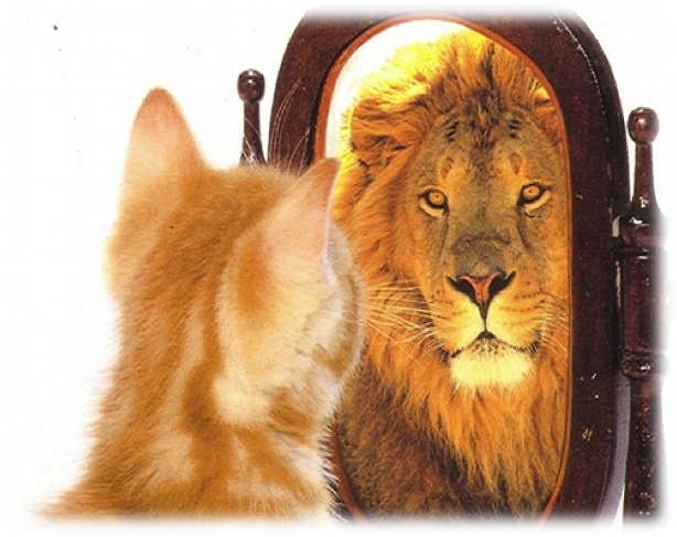 Storm: Valores de Autorespeto y Autoestima.