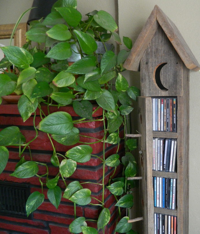 Upcycle-This: Rustic Birdhouse CD Holder