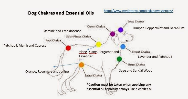 REIKI PAW ESSENCES : Dog Chakras and Essential Oils