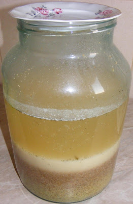 Bors Retete Bors De Casa | Preparatedevis.ro