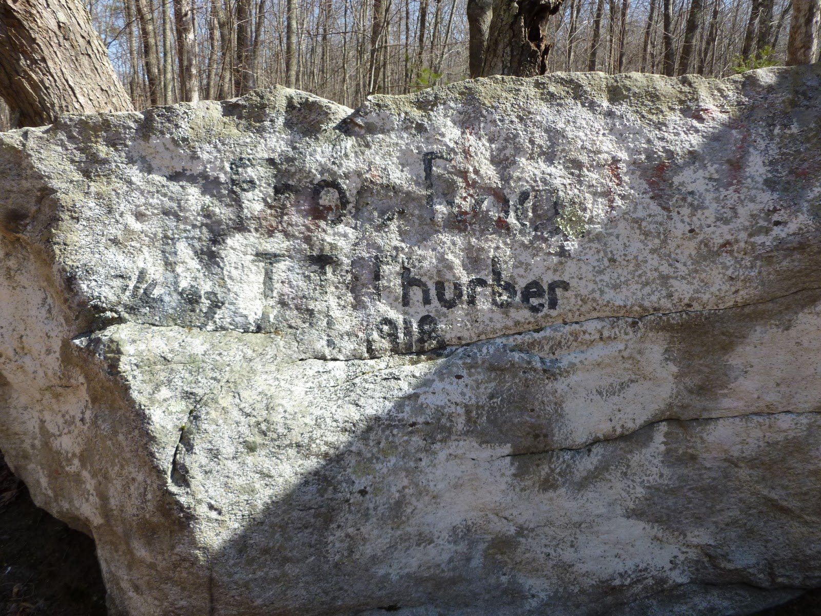 Photo-ops: Roadside Attraction/Zippy The Pinhead Location: Frog Rock ...