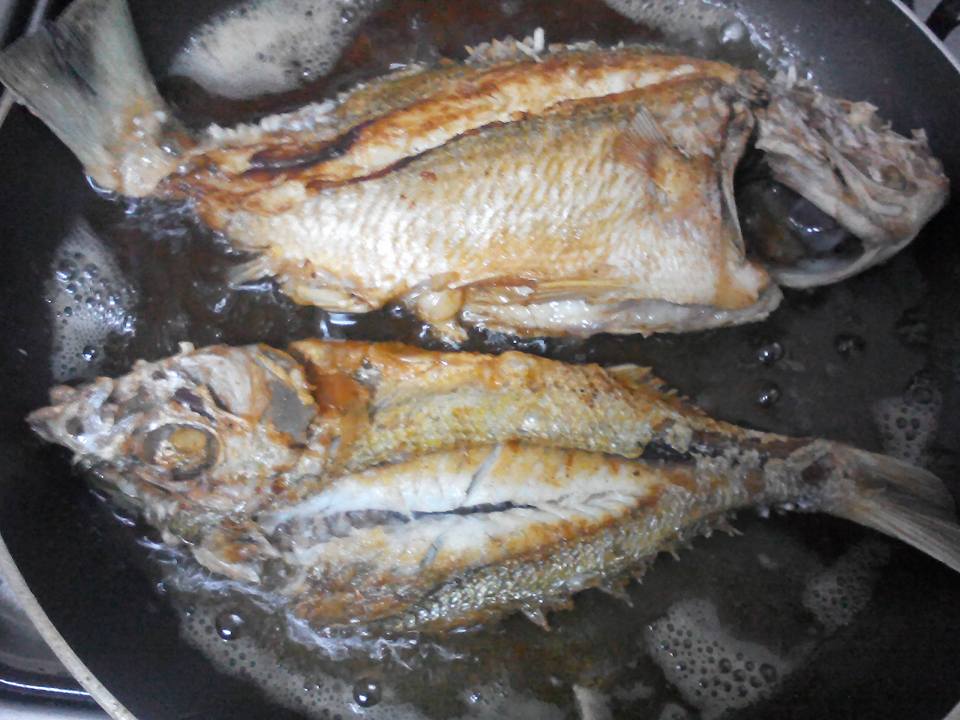 MAMAY P's Pinoy Halu-Halo: Fishing is Fun