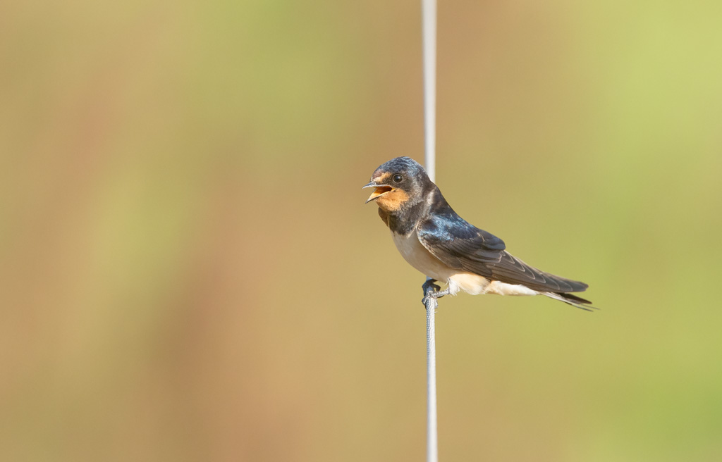 Nikos Fokas Photopraphy Blog