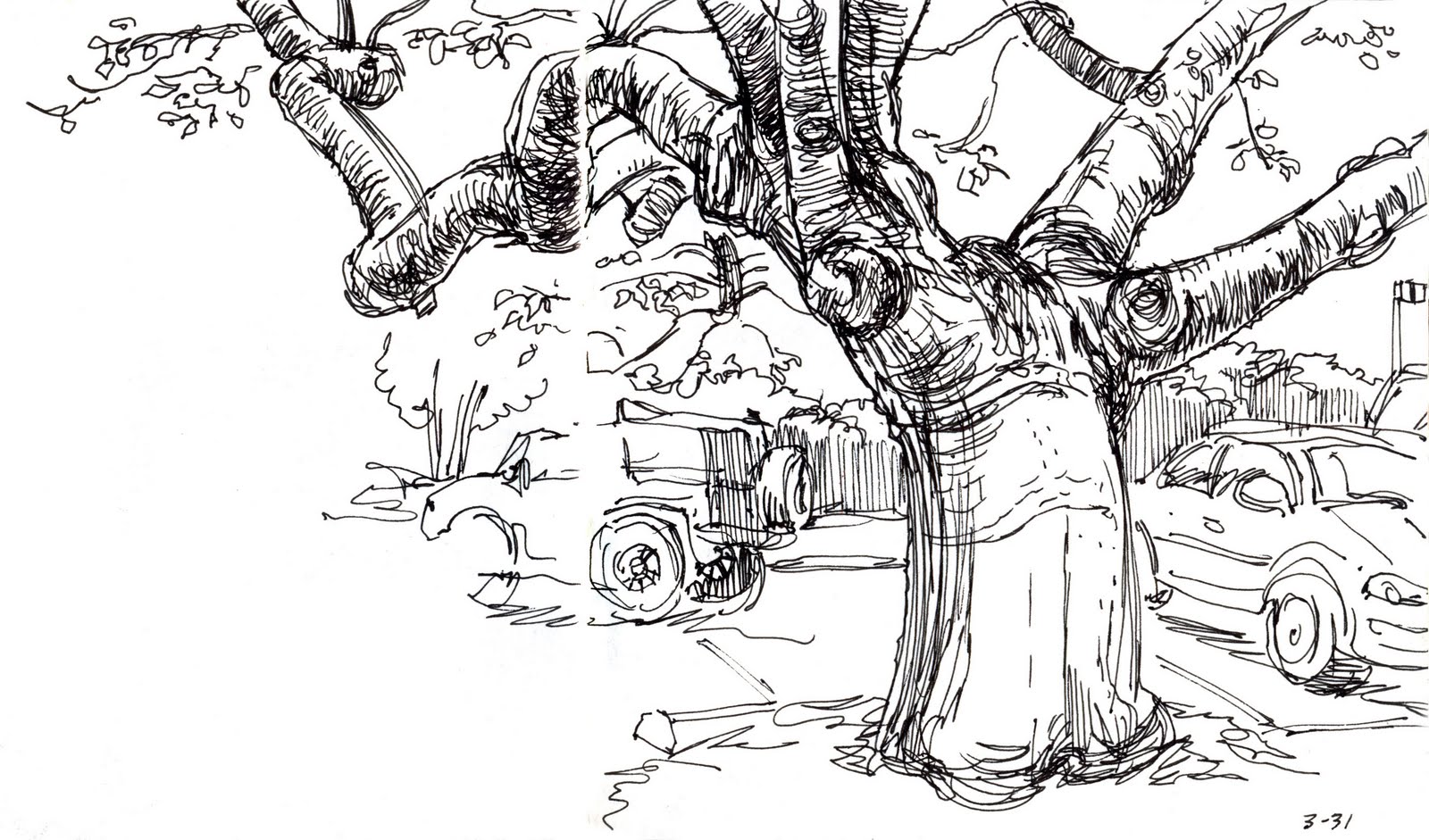 Works in Progress...On Location: Trees, Cars and Parking Lots