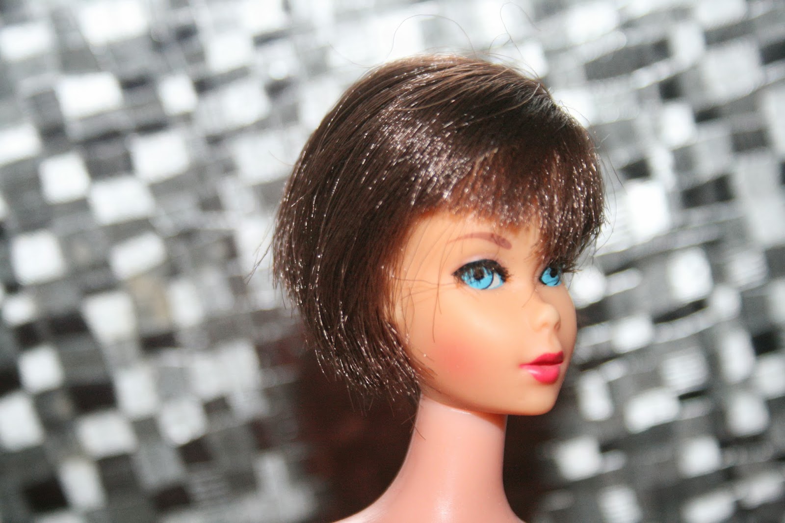 PLANET OF THE DOLLS: Doll-A-Day 29: Brunette Hair Fair Barbie