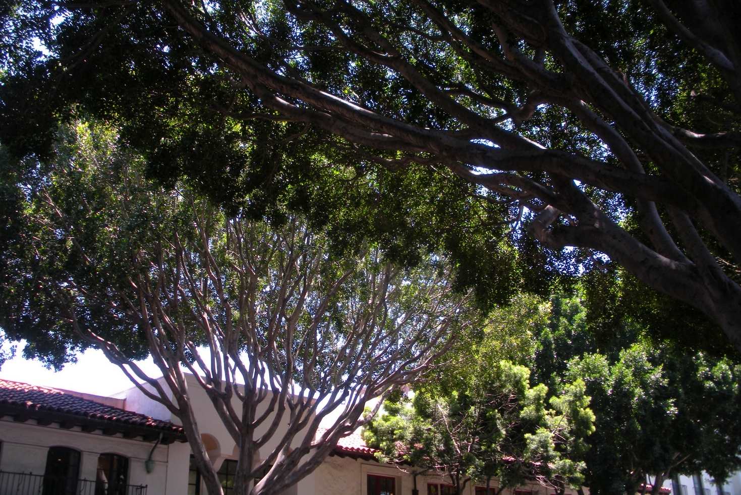 Photo Essays - Toxic Urban Landscapes - Air Pollution - Climate Change ...