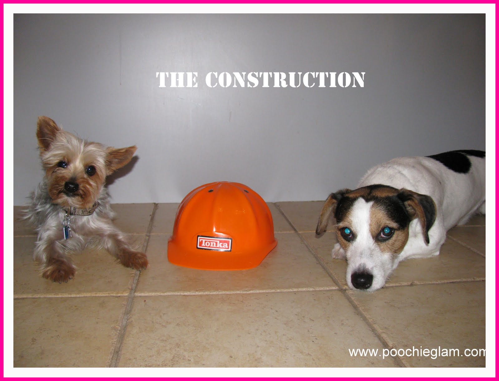 LE SALON ET SPA POOCHIE GLAM: One year in the making - The start up story