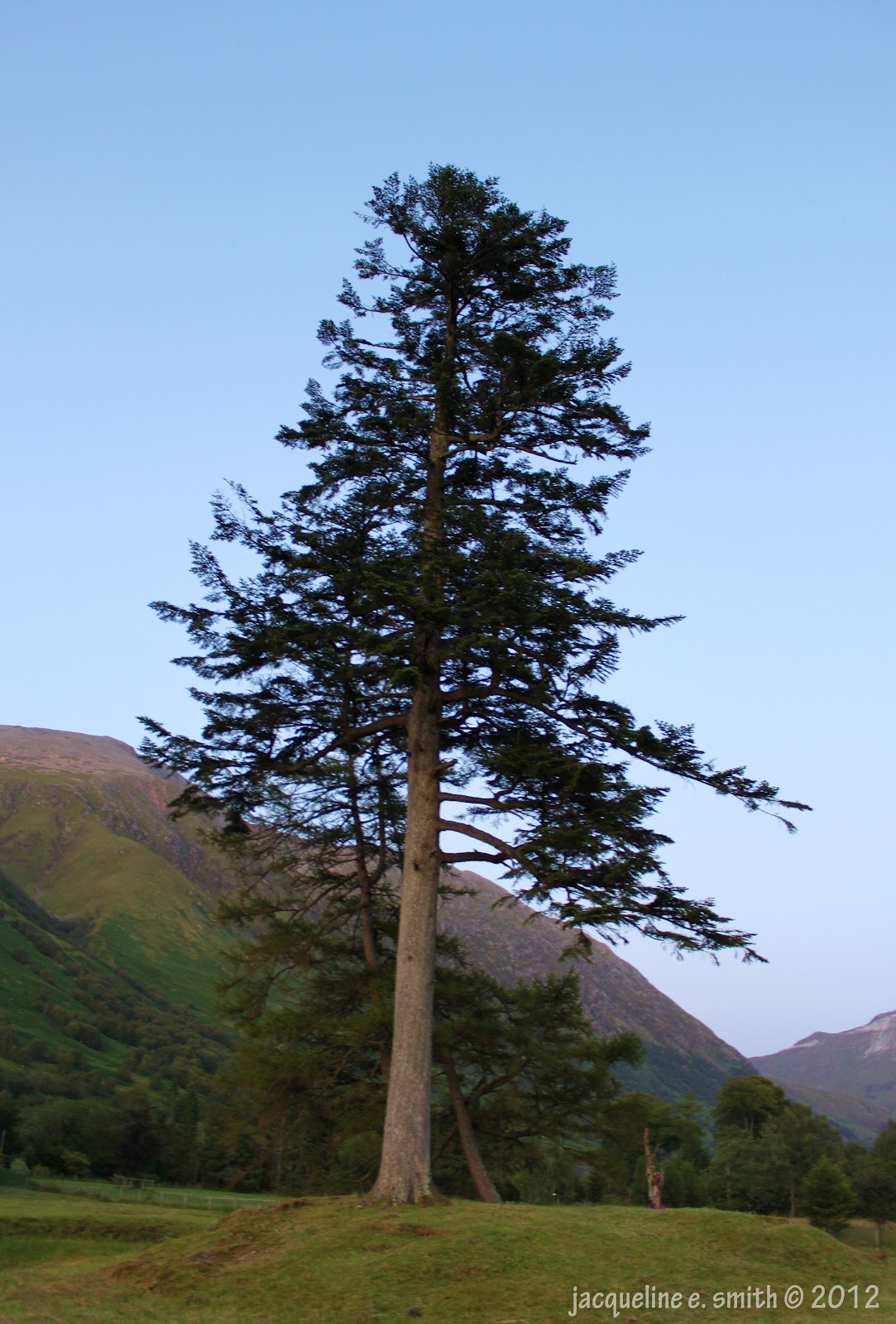 jacqueline e. smith photography: 10 Days in Scotland: Part 3