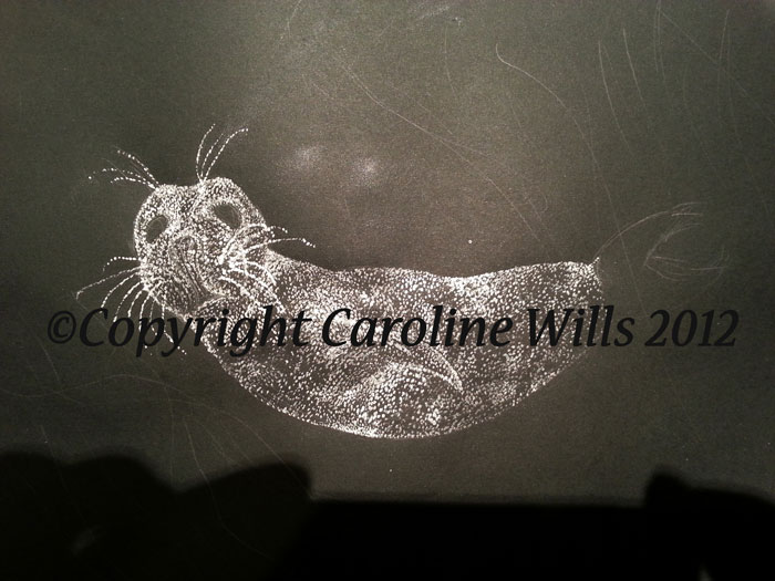 Caroline Wills: Completed Seal Drawing