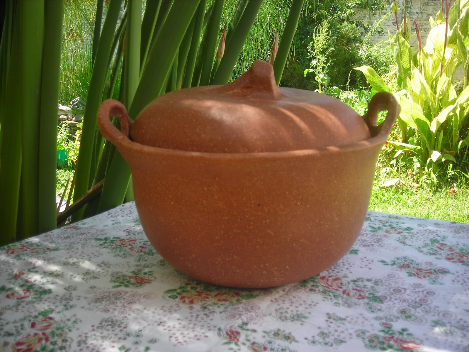OLLAS ECO LLAMA