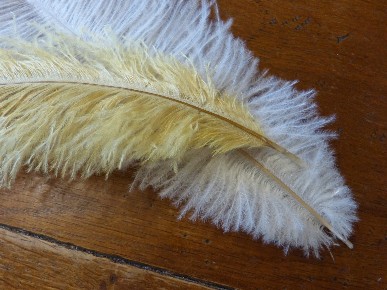 Neues aus der Gotik: Sich mit fremden Federn schmücken ...