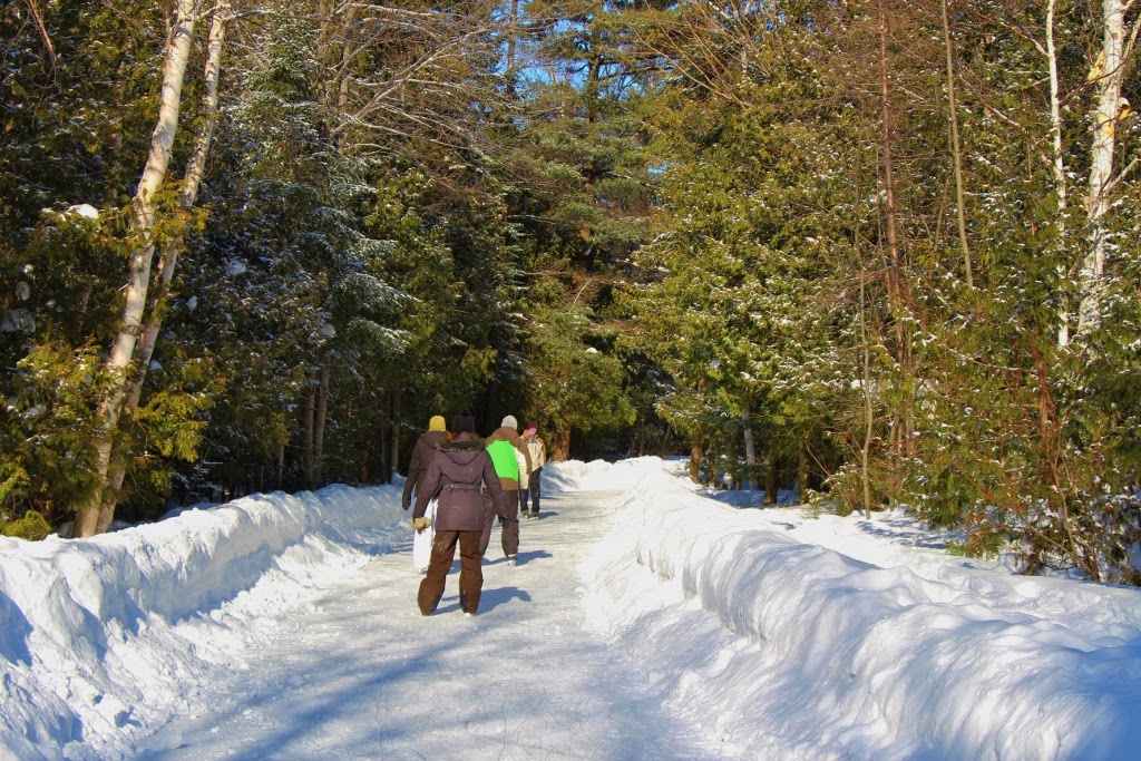 RV Journal: A Beautiful Day at MacGregor Point Provincial Park