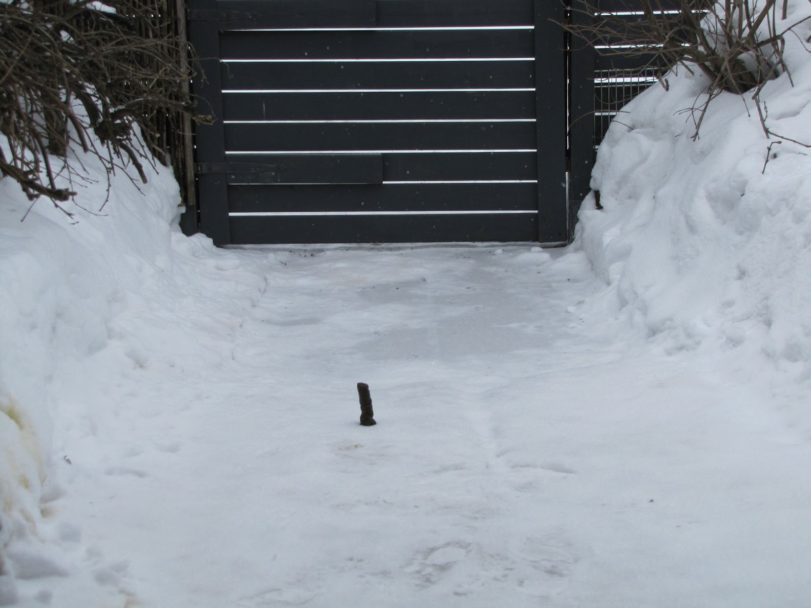 Team Sunny Islands - latest news!: Kakka on iloinen asia.