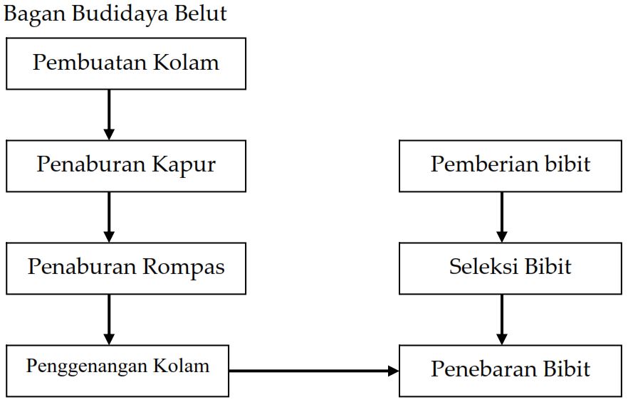 Pengertian dan Contoh Bentuk Informasi Nonverbal