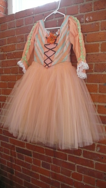 Ballet Costumes from Frills and Sprinkles