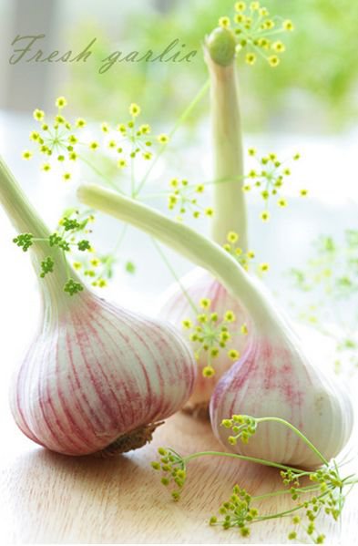 In en om die huis: Knoffel