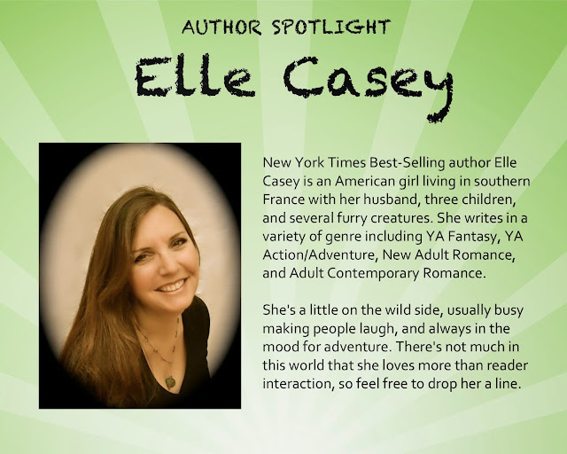 Sutton Shields: Author Spotlight: Elle Casey's Epic Bookshelf!