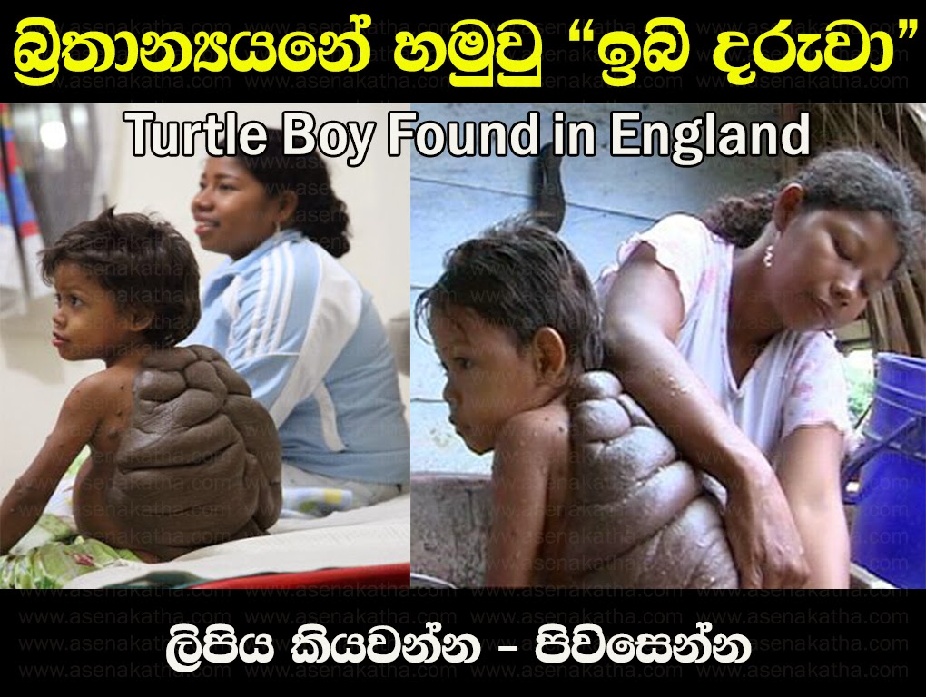 " turtle boy" - Story - Lowa Wate