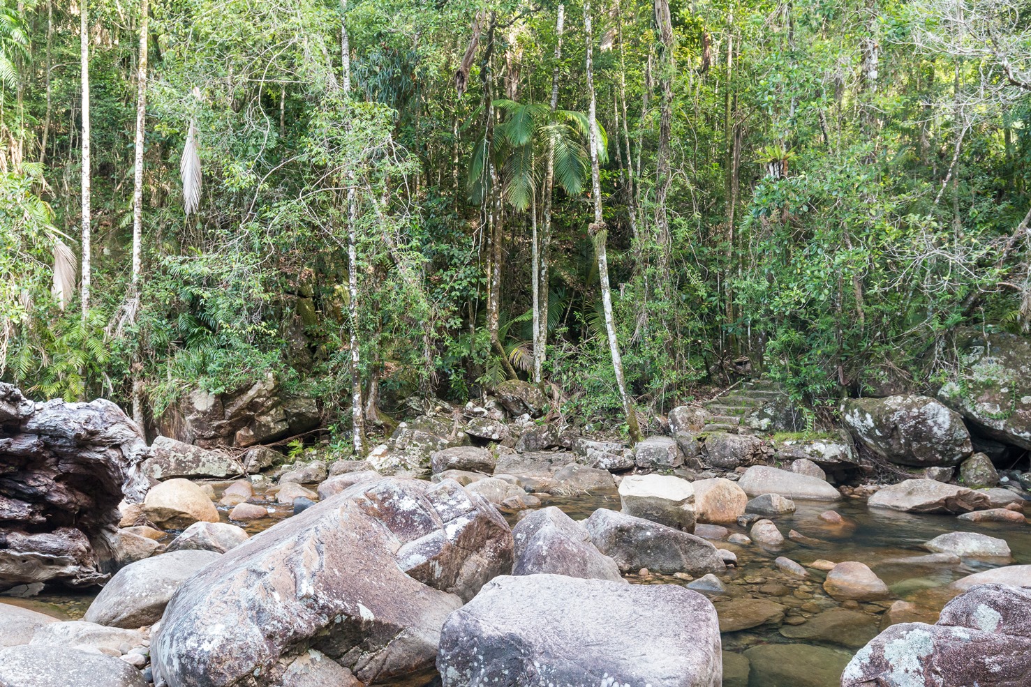 National Park Odyssey: Finch Hatton Gorge, Eungella National Park, QLD.