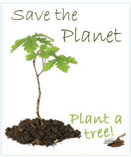 Ken Foundation Society: Save Earth