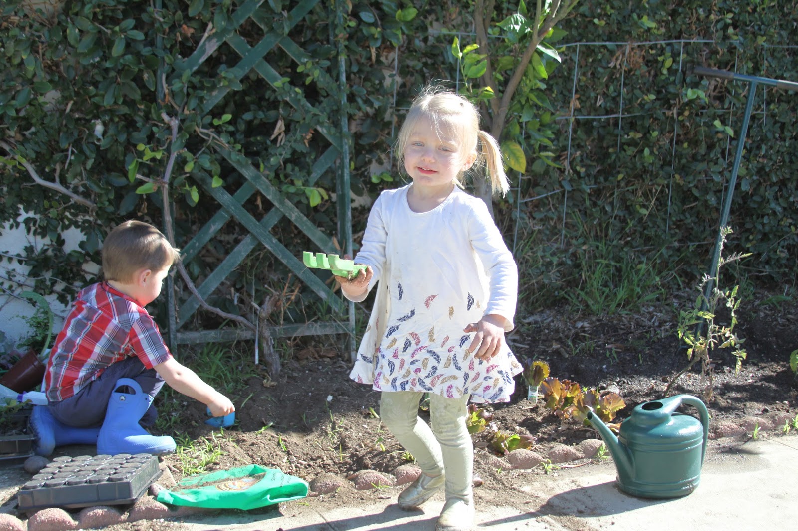 McClellan Clan: Evan & Chase