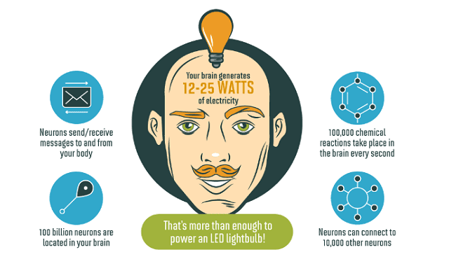 How Your Brain Stores and Processes Memories #Infographic - Visualistan