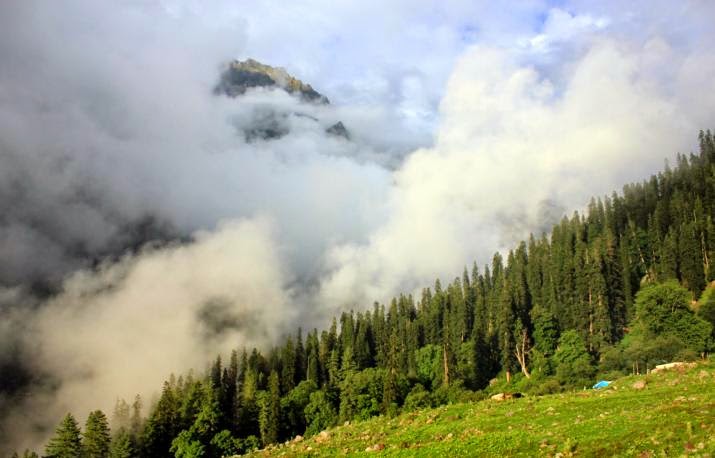 Deodar Forest, Himachal Pradesh - Unsolved Mysteries India