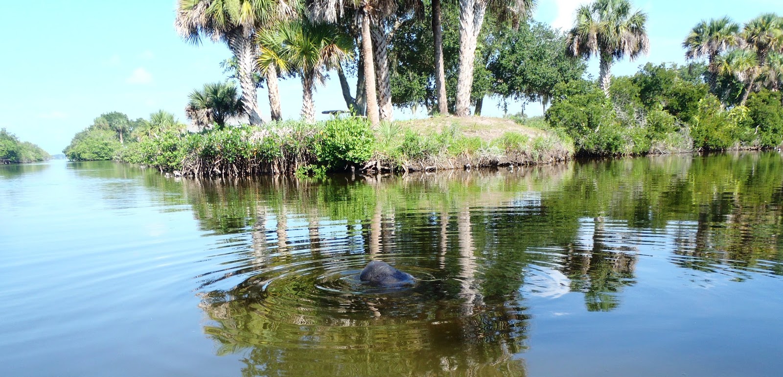 Views From Our Kayak: Manatee Cove Park at Merritt Island