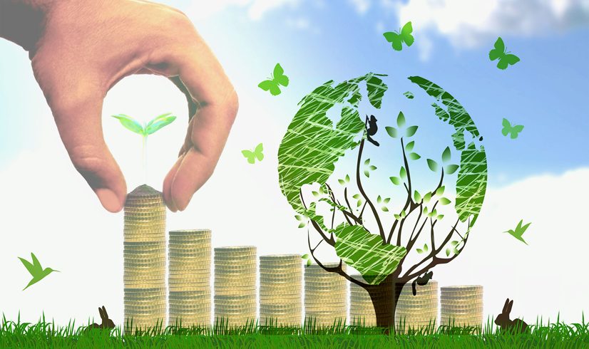 bio systems technology: what is bio systems technology?