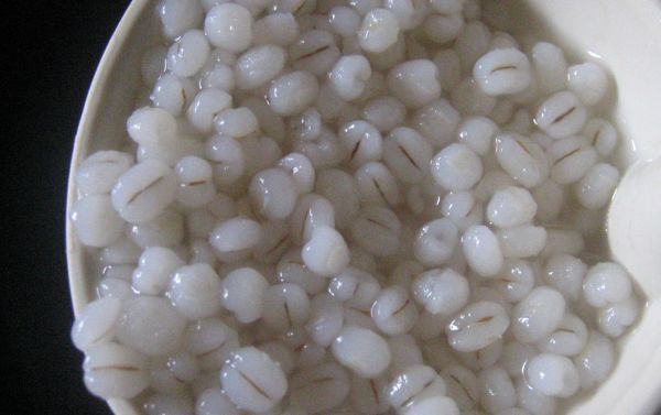 10 Khasiat Air Barli Yang Sangat Baik Untuk Kesihatan Bukan Beshe Beshe