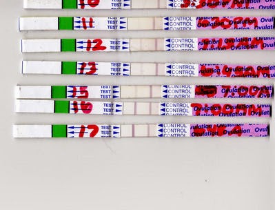 Vitamin Fertiliti: Cara Menggunakan Ovulation Prediction Kit (OPK)