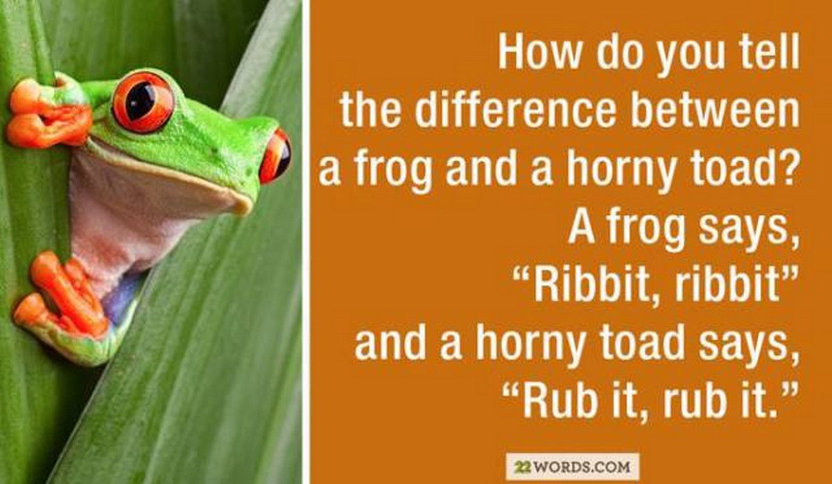 Chuck's Fun Page 2: Dumb jokes - 16 images