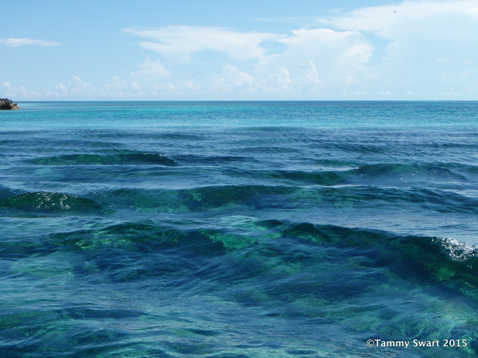 Things we did today...: June 2015