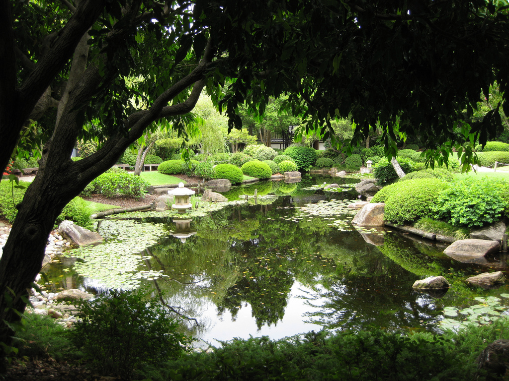 Japanese Zen Garden: Zen Bridge - Pond - Path