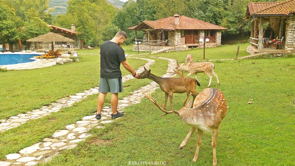 KARDITSAS.BLOG: ♥ Καρδίτσα~Κεραμαριό: Μια μοναδική εμπειρία που αξίζει ...